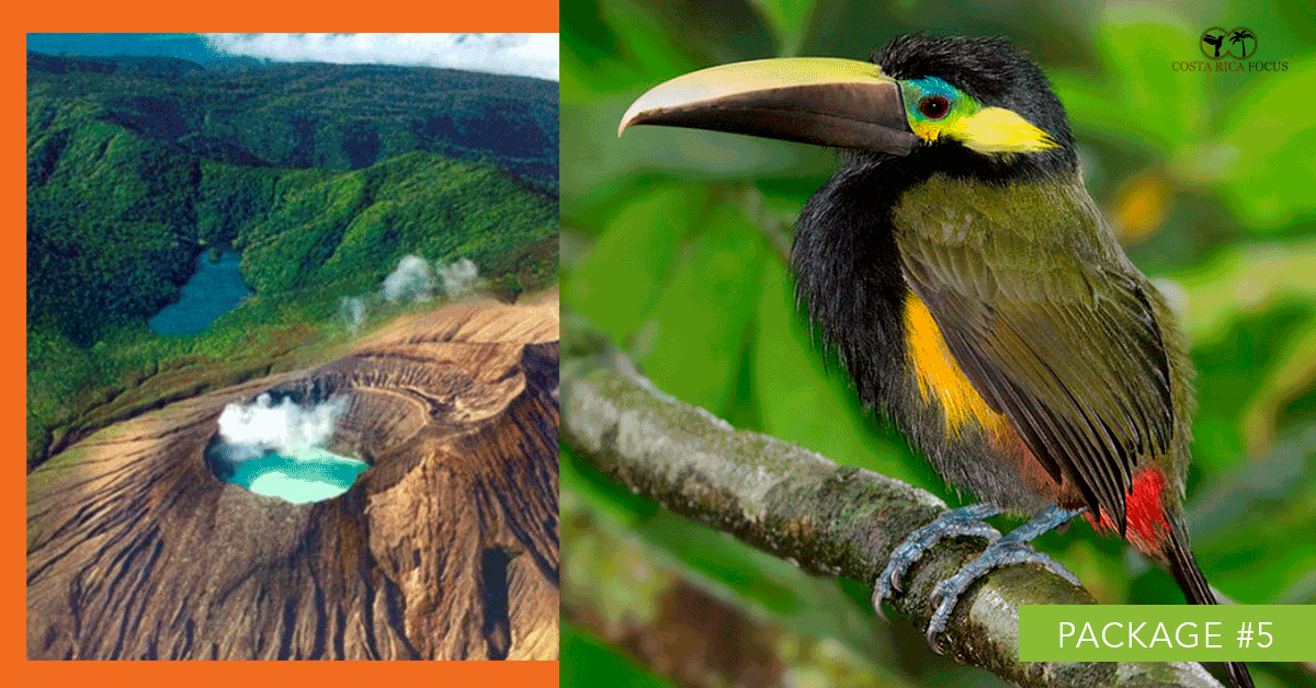 Secluded Costa Rica Birdwatching Tour [Advanced] - Costa Rica Focus