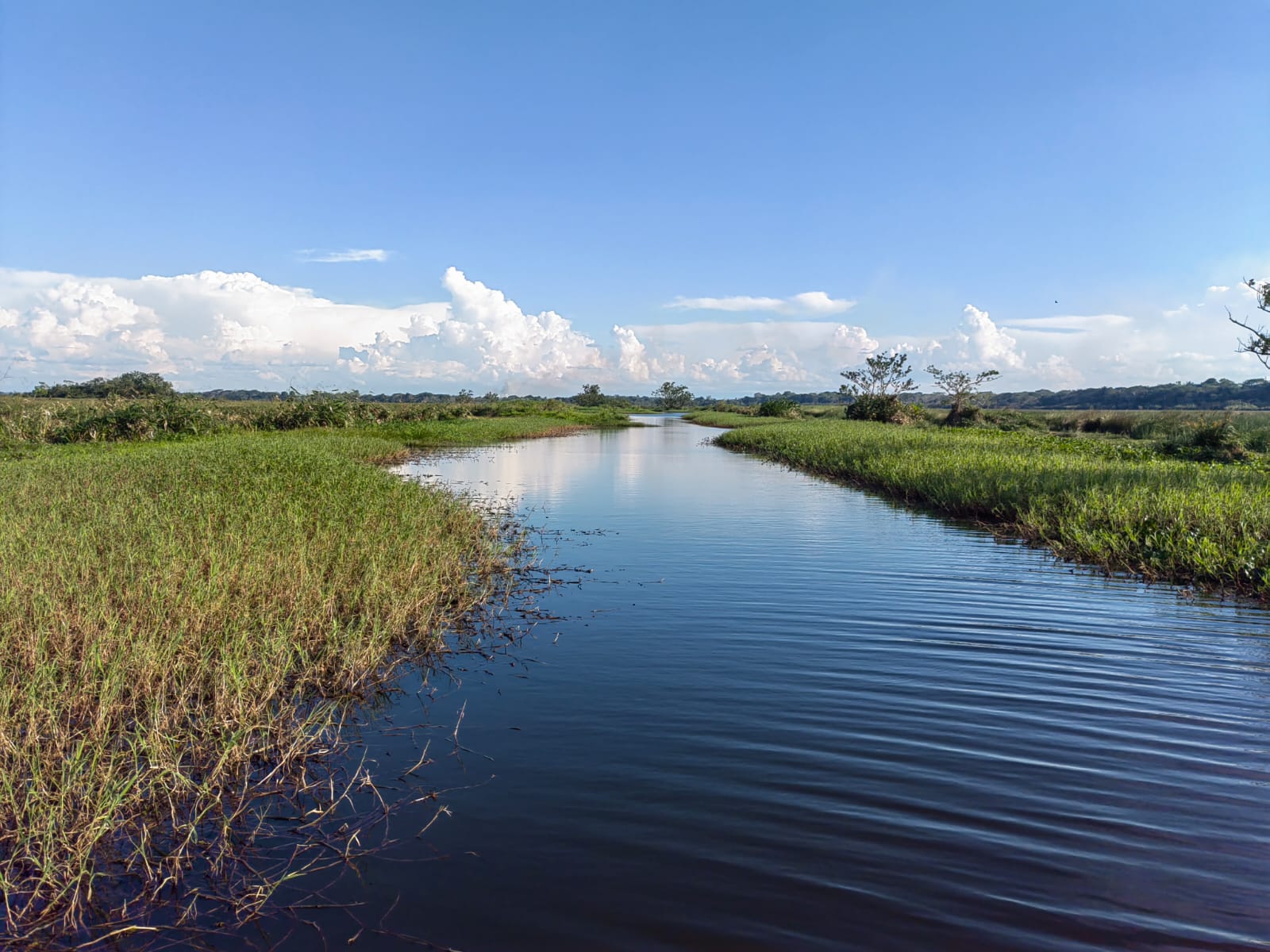 Medio Queso Wetland - Costa Rica Focus
