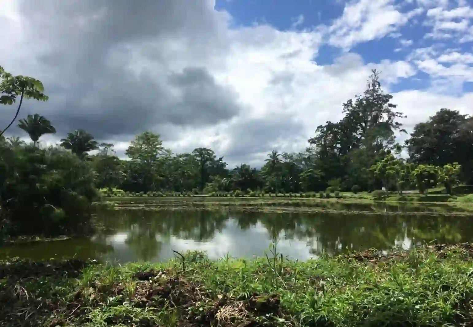 CATIE Botanical Center - Costa Rica Focus