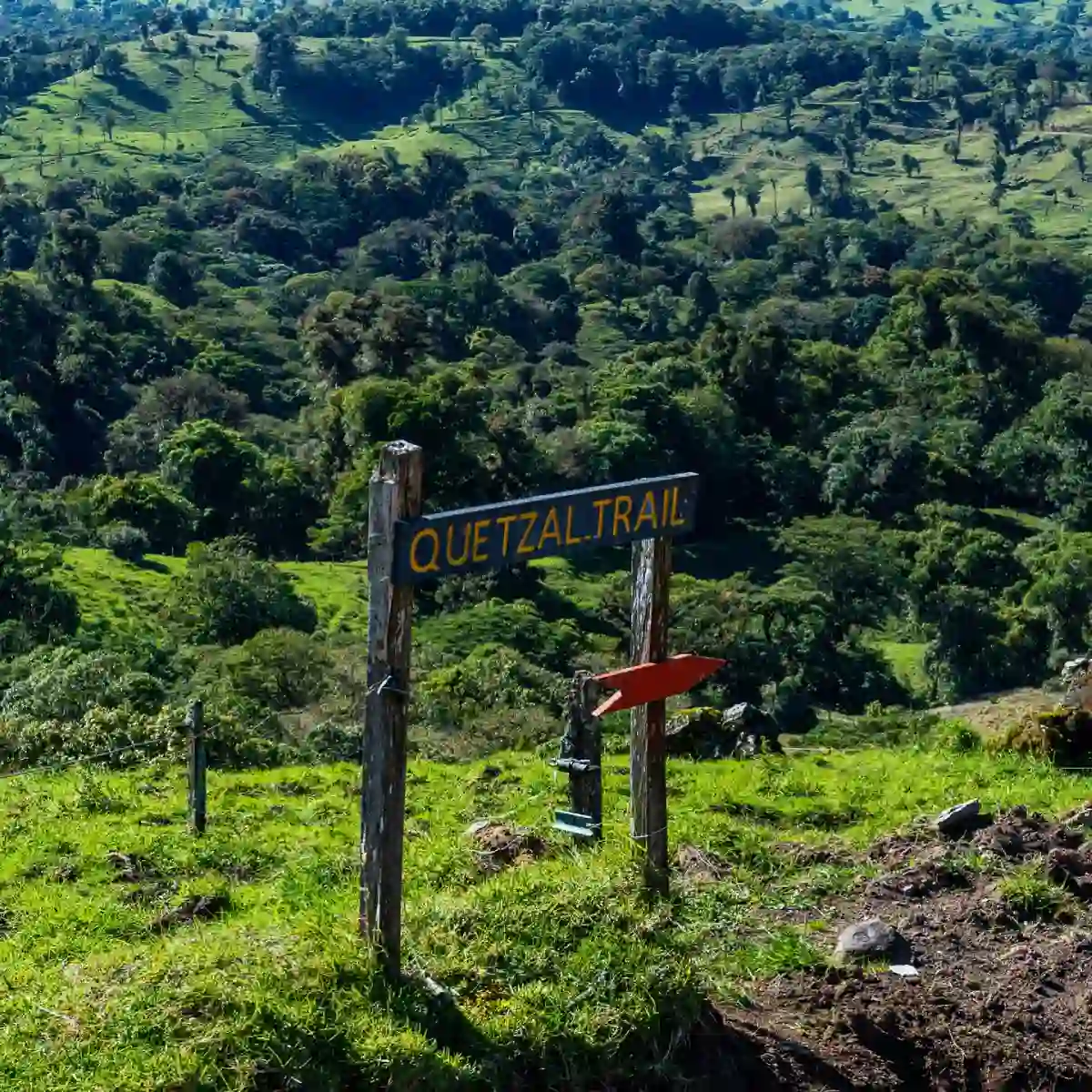 Poas Volcano Lodge Trails - Costa Rica Focus