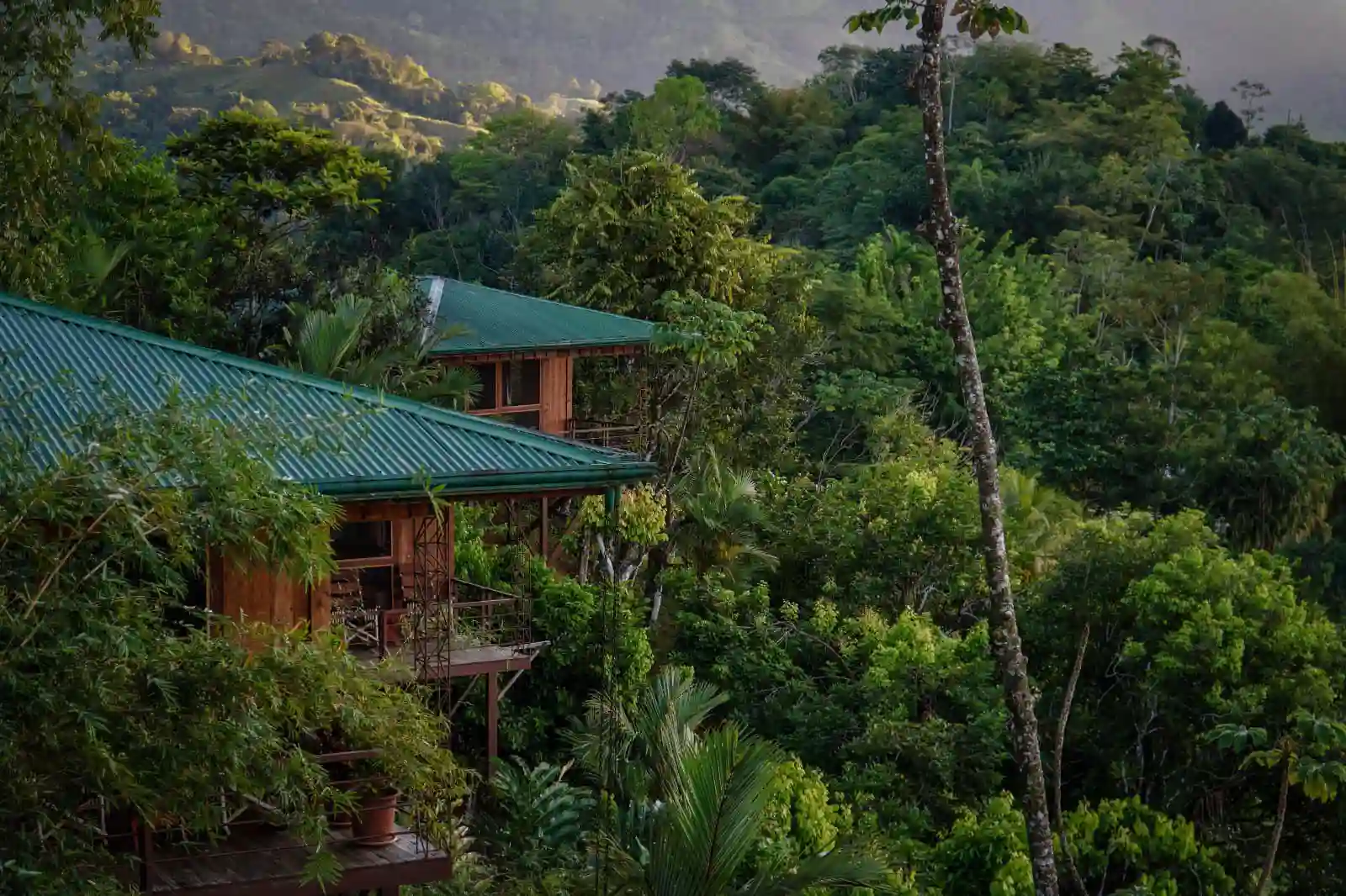 Santa Juana Lodge - Costa Rica Focus