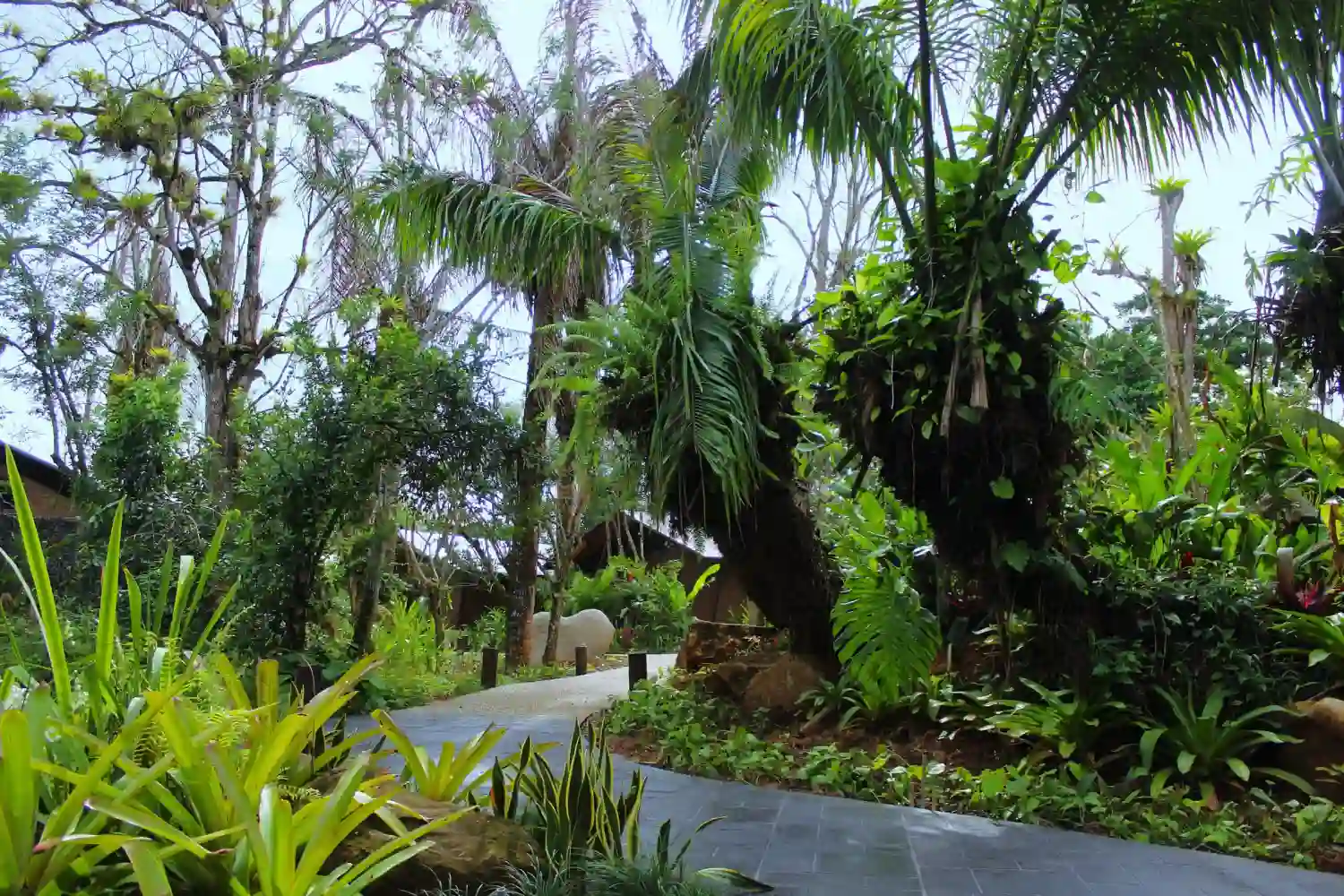 Tocu Tent Camp Trails - Costa Rica Focus